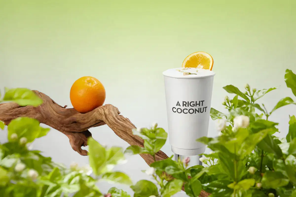 Why Powdered Drinks Are Driving the Instant Beverage Market